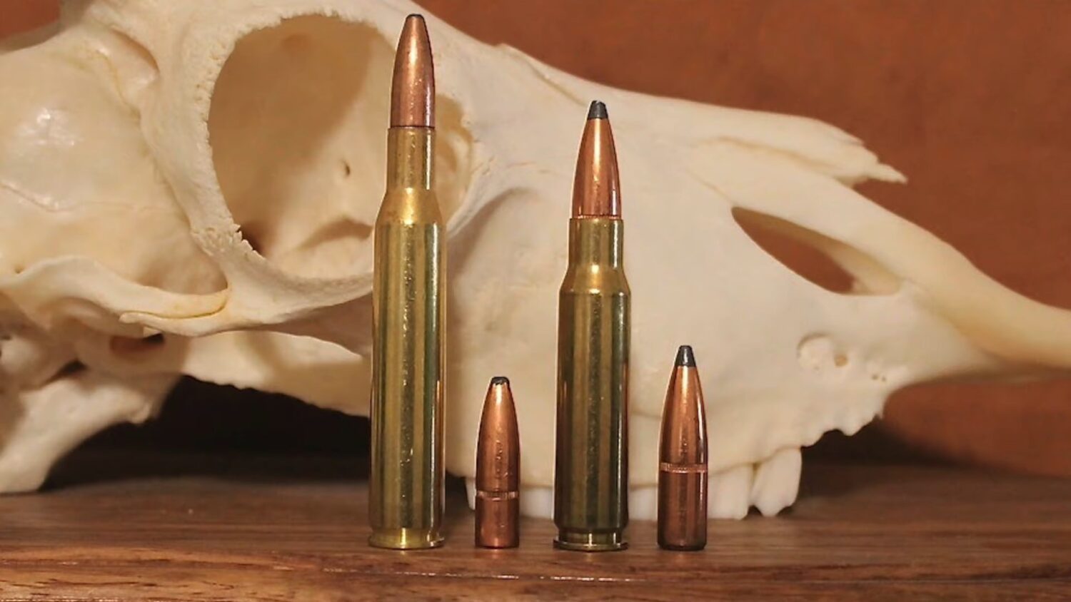 308 Vs 270 What s The Difference Which Rifle Is Better To Buy 