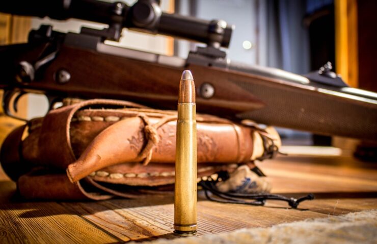 Hunting Ammo 101: Understanding the Basics of Bullet Types and Calibers ...
