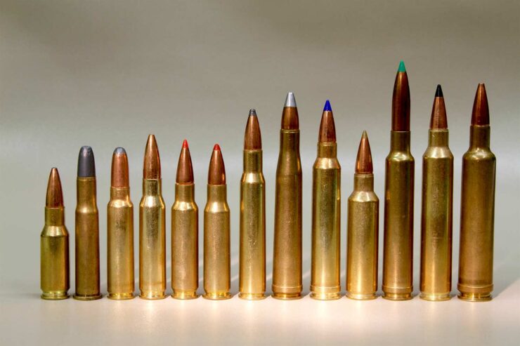 Hunting Ammo 101: Understanding the Basics of Bullet Types and Calibers ...
